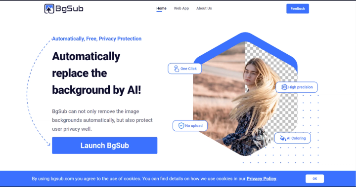 BgSub | Tool Information & Alternatives | Foundr.AI
