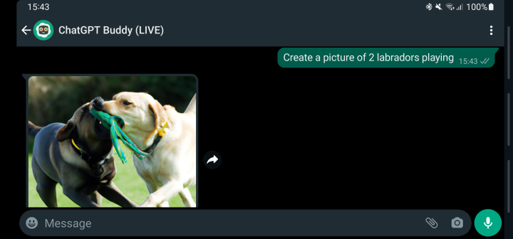 ChatGPT Buddy | Tool Information & Alternatives | Foundr.AI